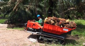 Rekomendasi Alat Angkut Buah Kelapa Sawit