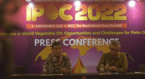 Menko Airlangga Tekankan Industri Kelapa Sawit Berkelanjutan